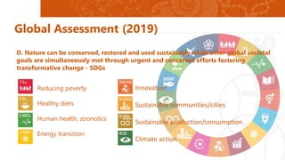 Climate Change, Biodiversity & Health - IPBES Perspectives | PPTX