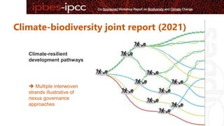 Climate Change, Biodiversity & Health - IPBES Perspectives | PPTX