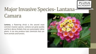 IPBES Invasive Alien Species Assessment.pptx