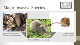 IPBES Invasive Alien Species Assessment.pptx