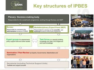 Review and planning of activities with IPBES | PPT