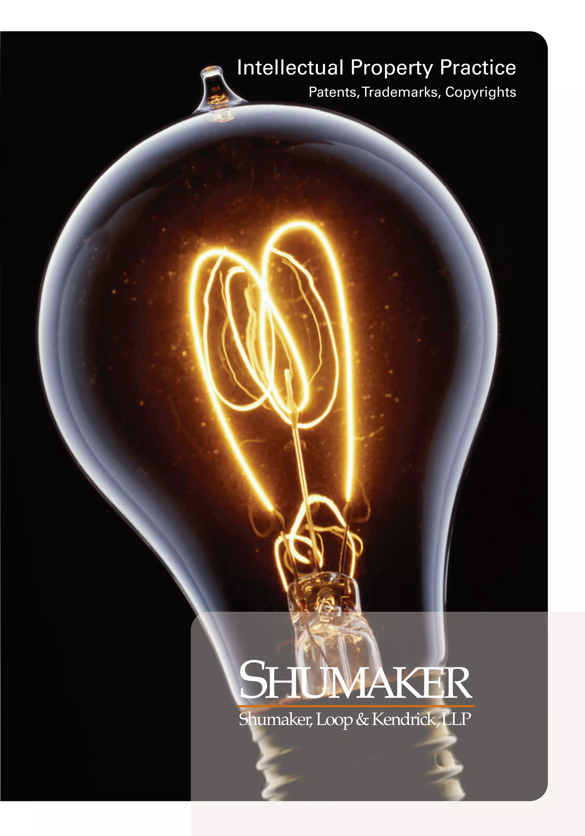 Intellectual Property Brochure | PDF