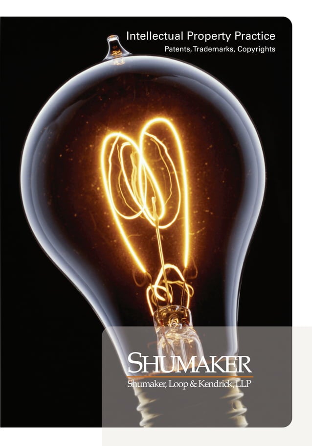 Intellectual Property Brochure | PDF