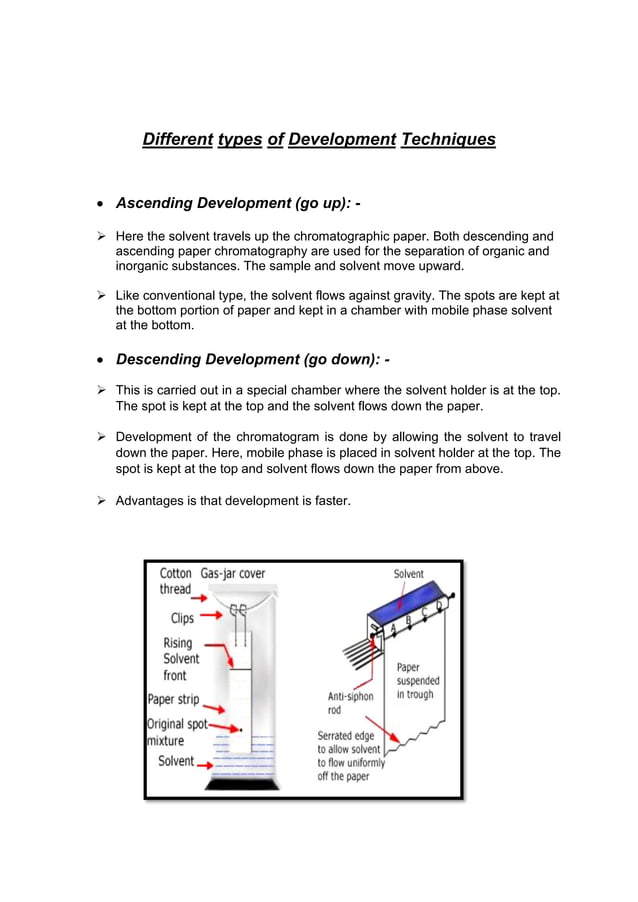 paper chromatography project class 12 | PDF | Chemistry | Science