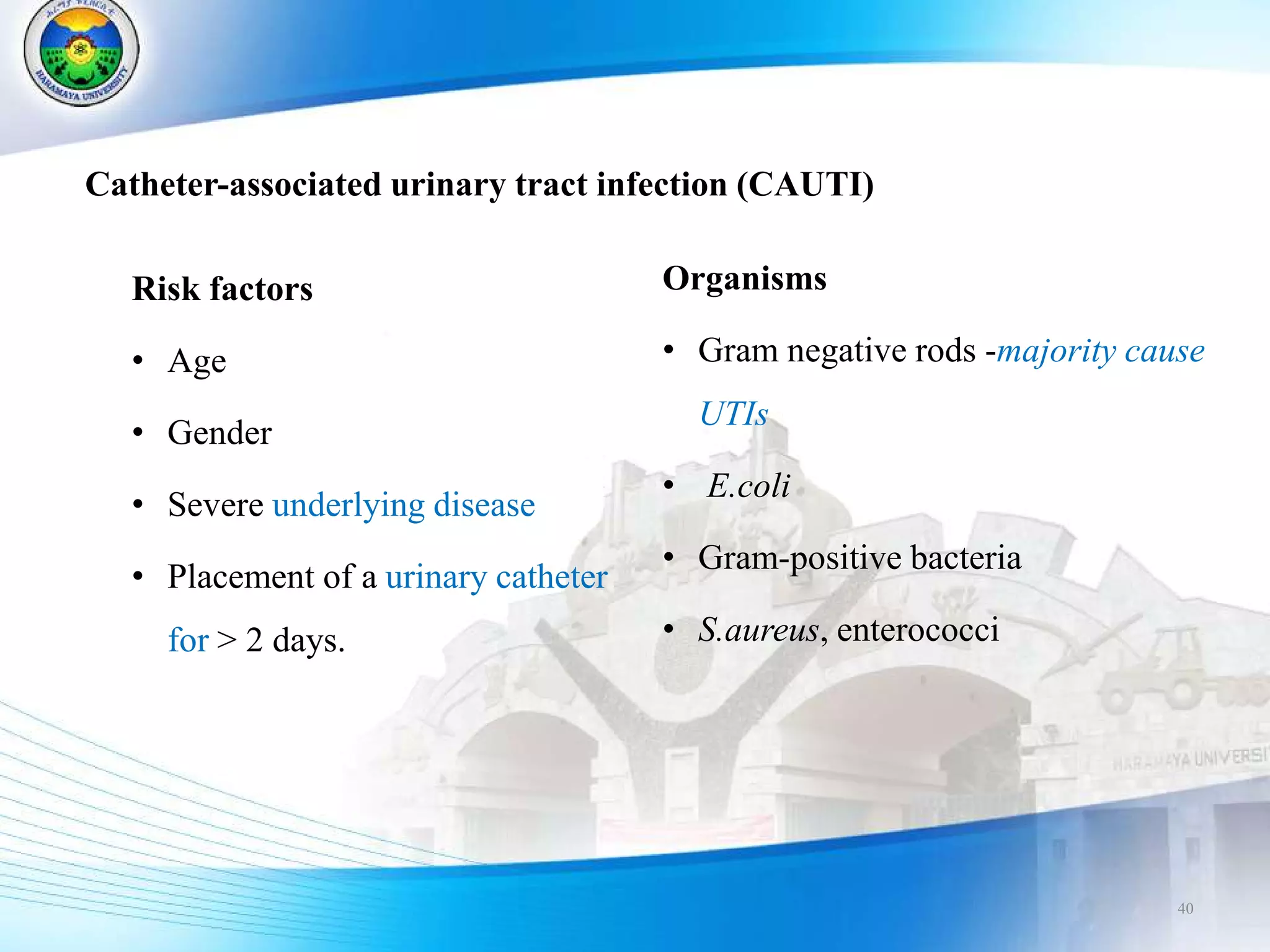 IPC, Infection prevention and Control; By Dechasa Adare Mengistu; ppt | PDF