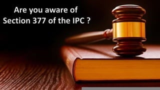 IPC Section 377 | PPTX