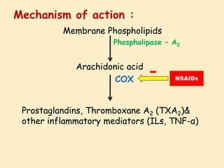 10.nsai ds | PPTX