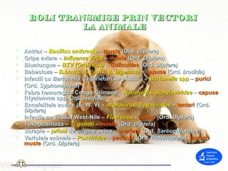 Mihai Danes - Aspecte privind bolile transmise prin vectori la animale ...