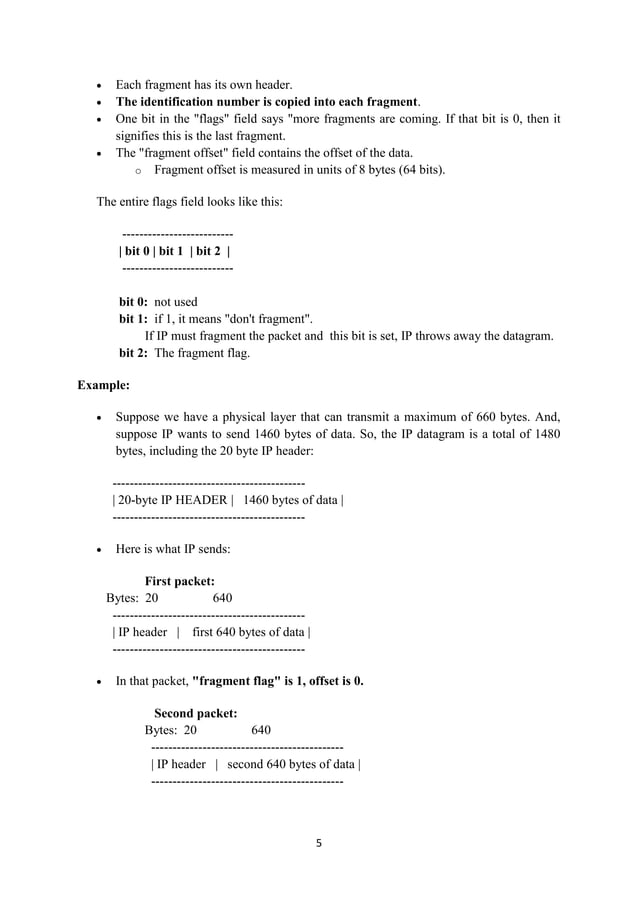 IP Datagram Structure | PDF