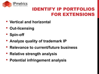 IP Due Diligence IPmetrics 2010 | PPT