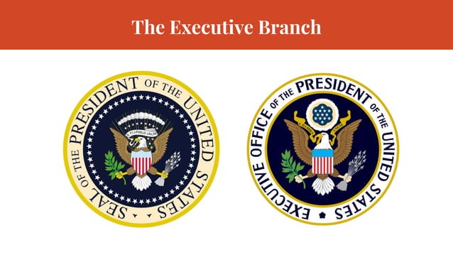 the US (United States) : Comparative Political Systems | PDF ...