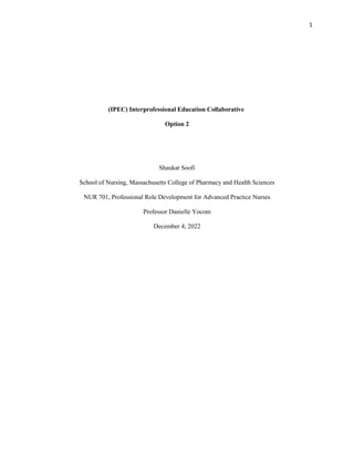 IPEC-OPTION 2 PAPER-drft.docx