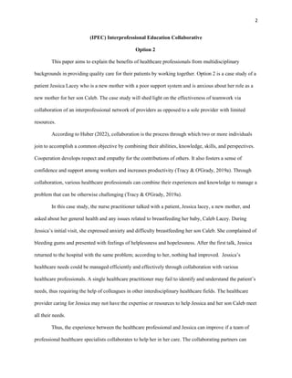 IPEC-OPTION 2 PAPER-drft.docx