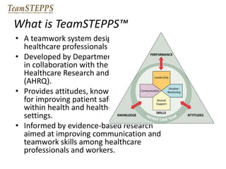 Interprofessional Education and Practice: Nuts and Bolts for Teaching ...