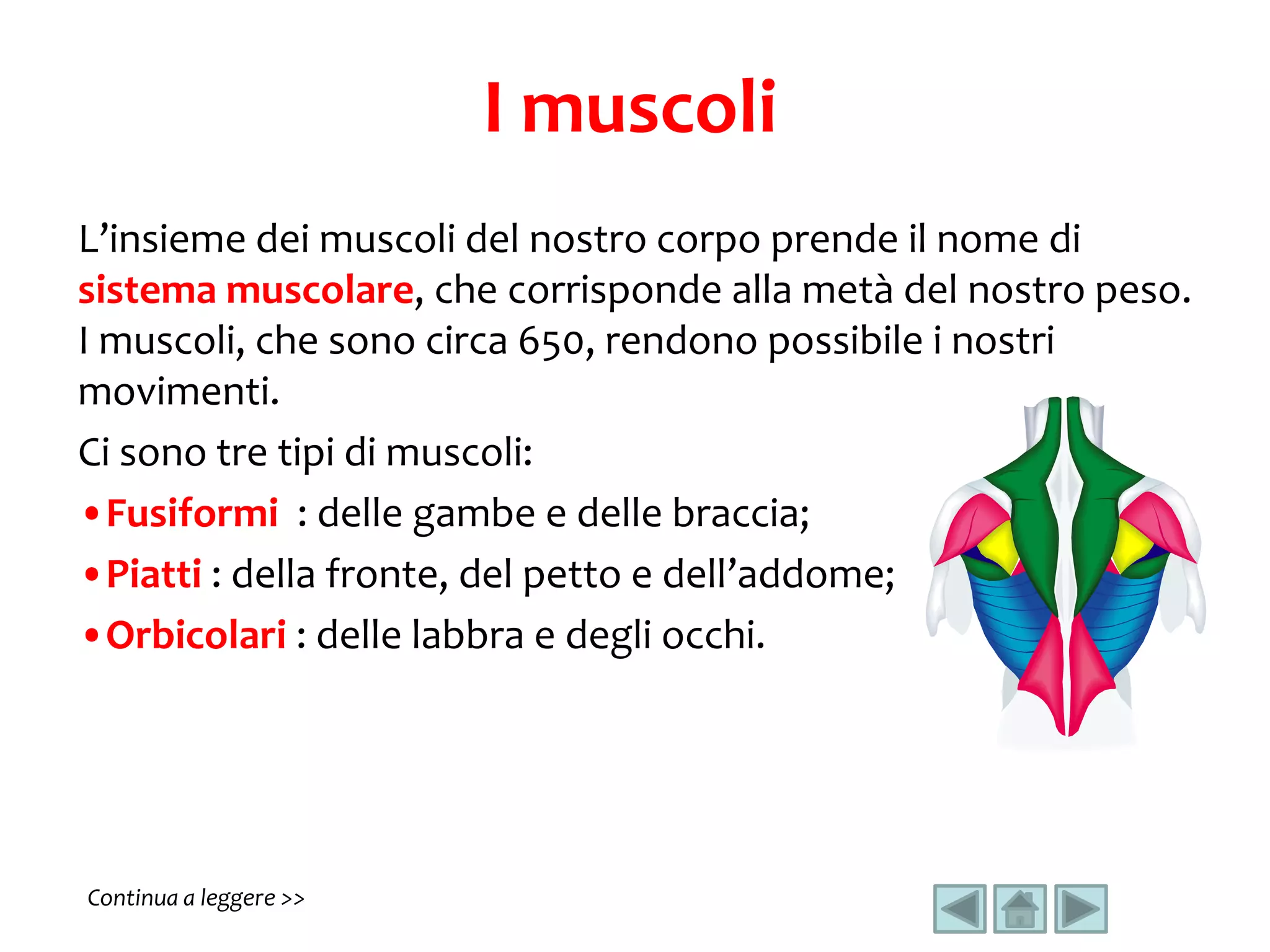 Il corpo umano | PPSX