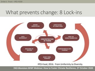 The relevance of a food systems approach based on Agroecology elements ...