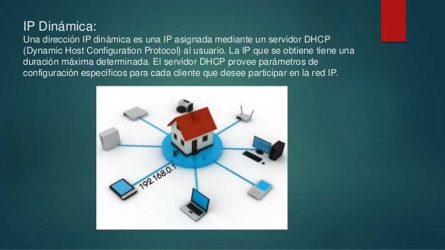 Ip estatica y dinamica 505