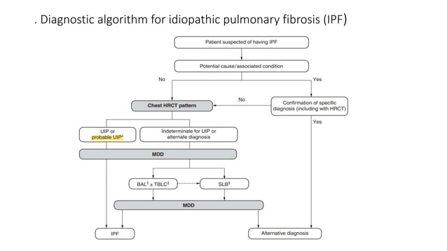 IPF AND PROGRESSIVE PULMONARY FIBROSIS 2022UPDATE(ATS.pptx | Lung and ...