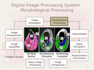 Introduction of image processing | PDF