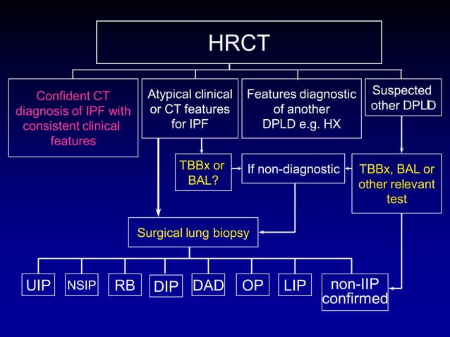 Ipf or non ipf interstitial lung diseases | PDF | Lung and Respiratory ...