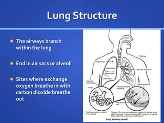IPF Webinar for the British Lung Foundation 2012: Dr Helen Parfrey | PPTX