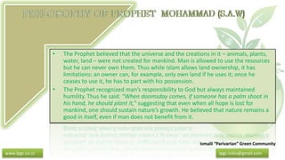 Green Color of Islam | PPTX | Islam | Religion & Spirituality