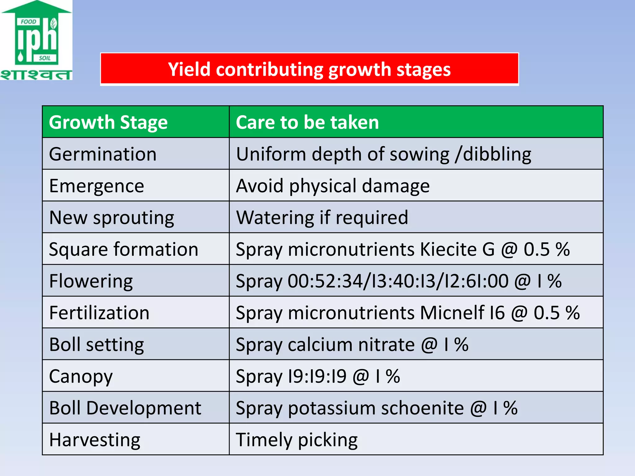 Cotton Cultivation Practices in Maharashtra | PDF
