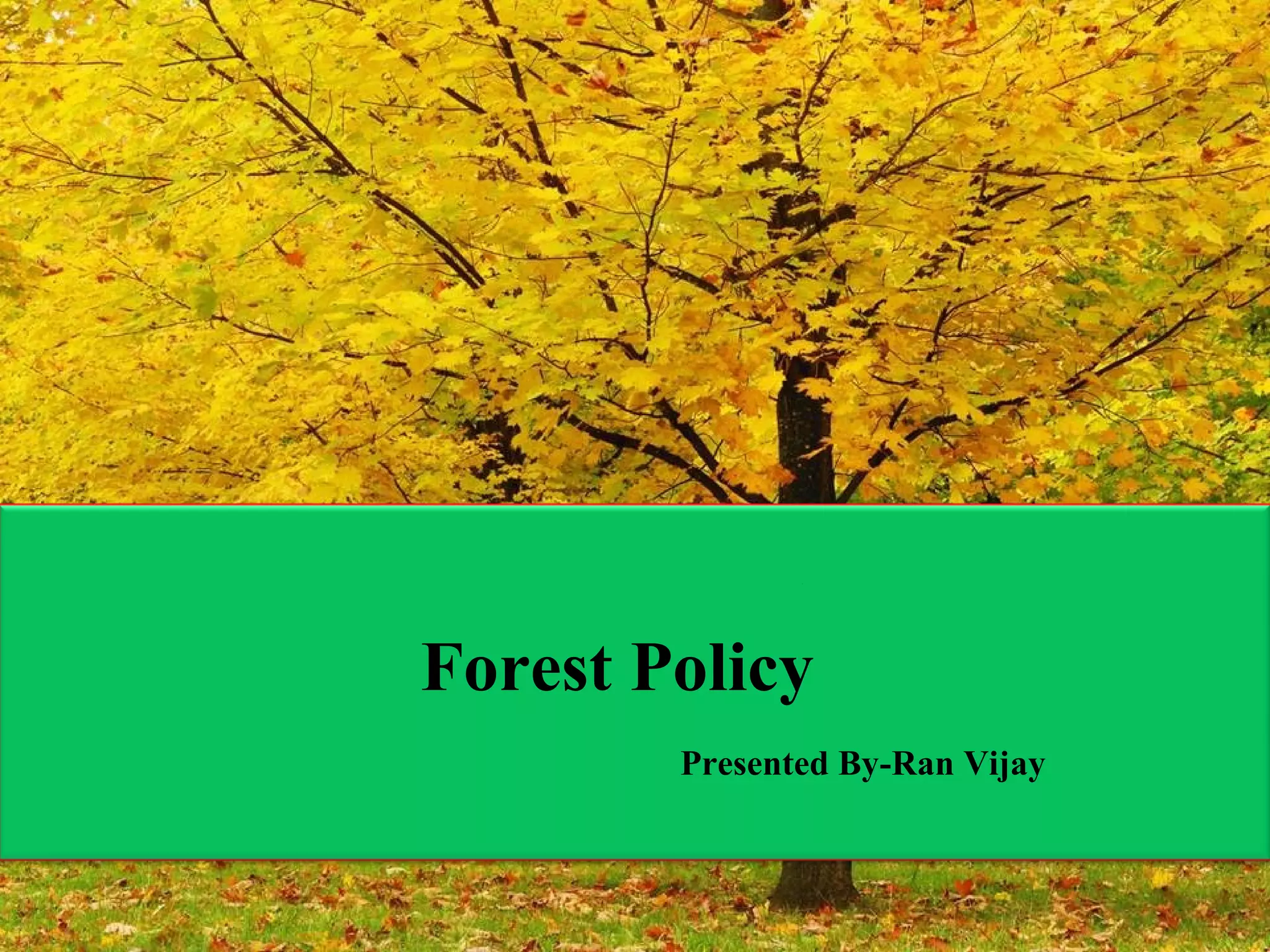 NATIONAL FOREST POLICY | PPT