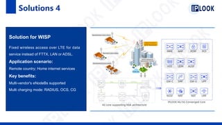 IPLOOK Networks Company Profile & Introduction | PDF | Cloud Computing | Internet