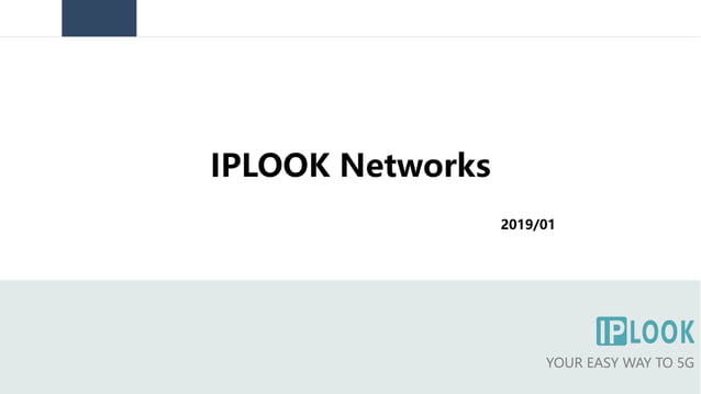 IPLOOK Networks | PPT