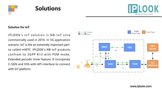IPLOOK Networks | PPT