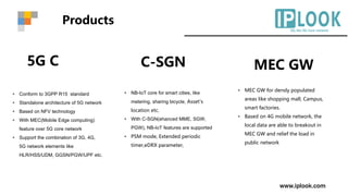 IPLOOK Networks | PDF