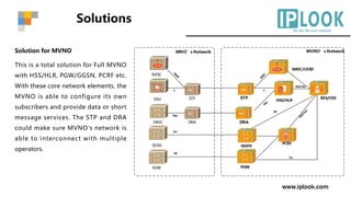 IPLOOK Networks | PPT