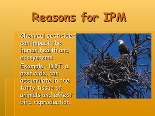 Ipm | PPT