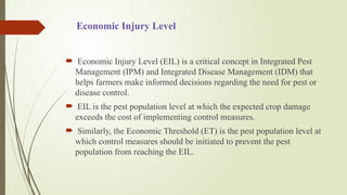 insect Physiology and morphology and physiologypptx | PPT