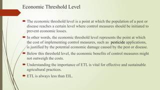 insect Physiology and morphology and physiologypptx | PPT