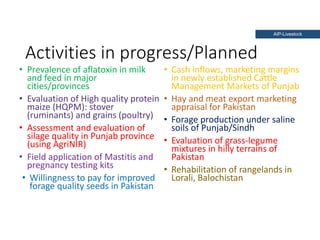 Holistic paradigm for improving livestock productivity in Pakistan ...