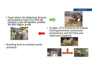 Holistic paradigm for improving livestock productivity in Pakistan ...