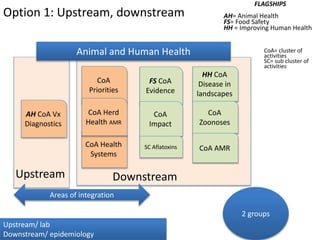 ILRI program outline: Animal and Human Health | PPTX