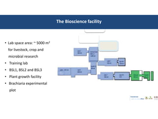Introducing the Biosciences eastern and central Africa–International ...