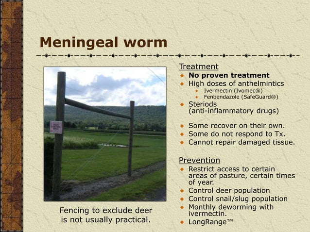Integrated parasite management (IPM) in small ruminants | PPTX | Digestive Disorders | Diseases ...
