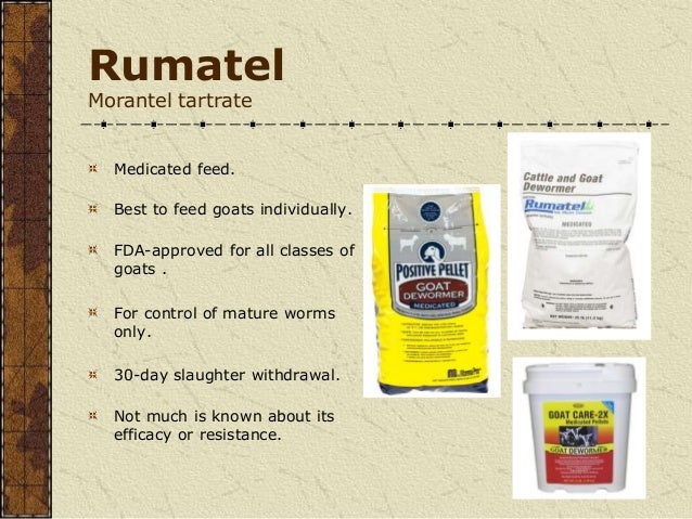 Integrated parasite management (IPM) in small ruminants