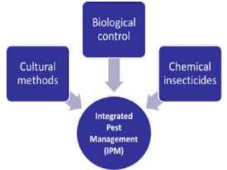 Integrated Pest Management (IPM) by TS- Shiven R. Trambadia | PPTX