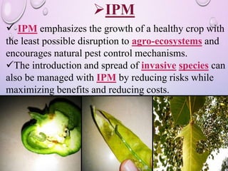 Integrated Pest Management (IPM) by TS- Shiven R. Trambadia | PPT