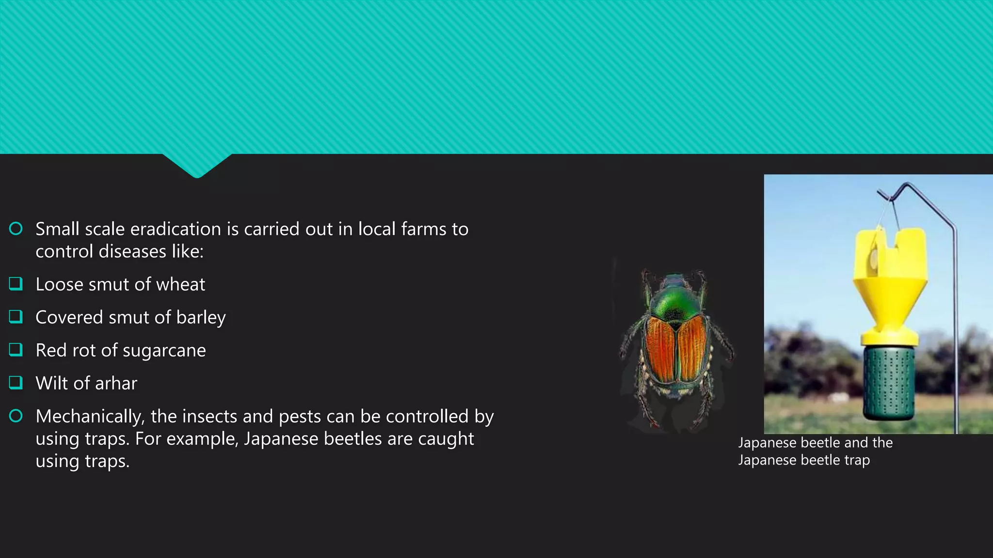IPM- Integrated Pest Management Strategies | PPT