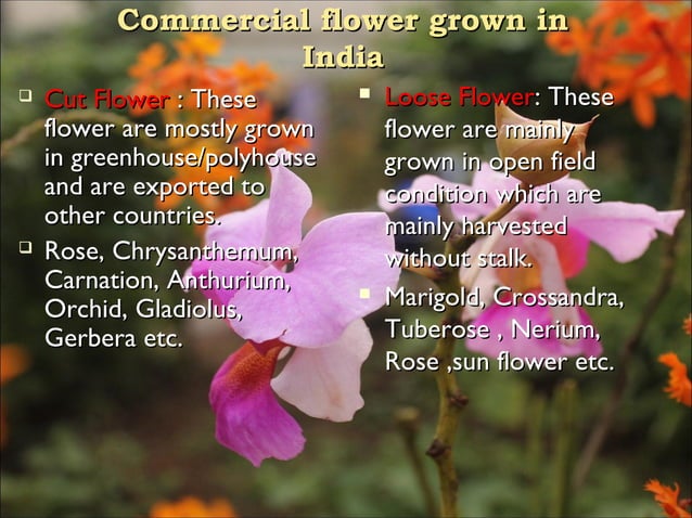 Integrated pest management of Floriculture | PPT | Agriculture | Industries