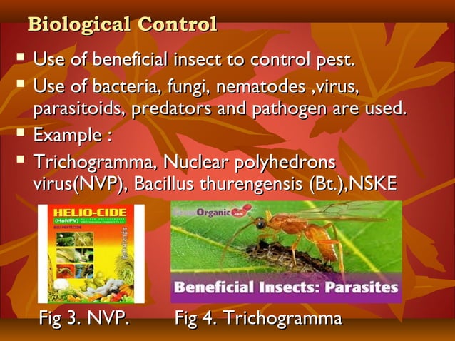 Integrated pest management of Floriculture | PPT | Agriculture | Industries