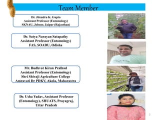 IPM Groundnut project proposal one .pptx