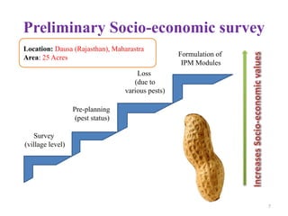 IPM Groundnut project proposal one .pptx