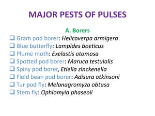 ipm in pulses.pptx